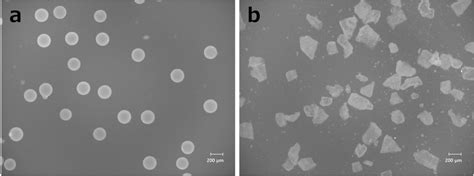 The Microscopic Image Of Spherical A And Fragmented B Polyethylene