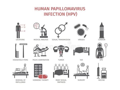 Human Papillomavirus Infection Hpv Vector Infographics Stock Vector