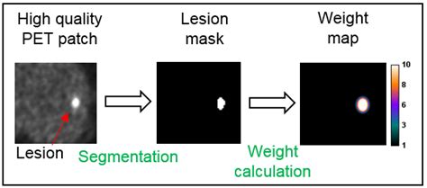 Generation Of The Weight Map Download Scientific Diagram