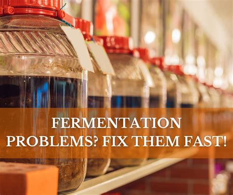 Distillique All Things Distilling Stuck Fermentation Heres The