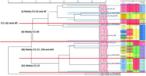 Cluster Analysis With The Result Of Strain Solution Ver 2 The Mass