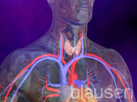 Épinglé Sur Medical Education