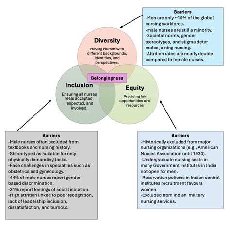 A Diversity Equity And Inclusion Dei Framework For Addressing
