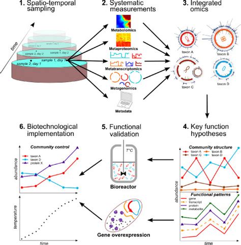 The Path From Large Scale Integrated Omics To Hypothesis Testing And