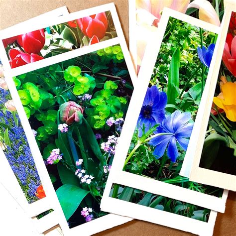 Flower Stationery T Set Flower Photographs Of Keukenhof Gardens 8