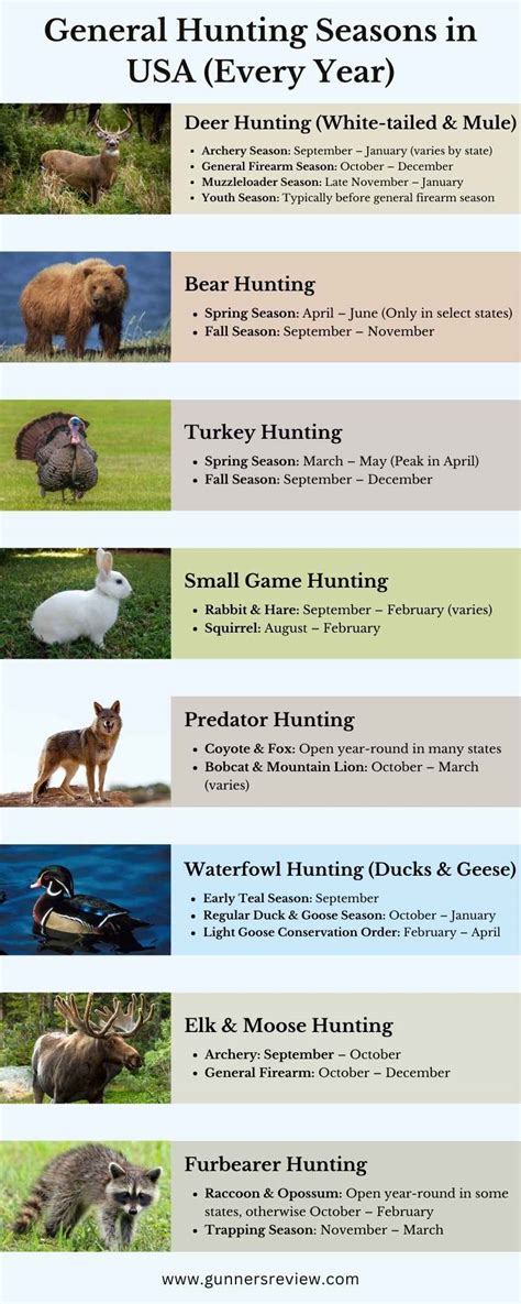 Best Us Hunting Seasons Gunners Review