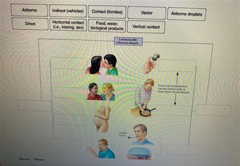 Solved Label The Diagram Below To Examine Methods Of