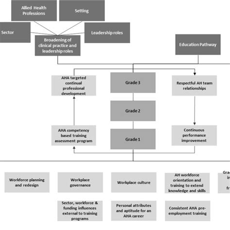 Conceptual Diagram Of Potential Aha Career Pathway Elements To Optimise