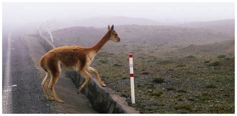 Michael Padwee Photographic Artist Inspired Retired Visual Artists