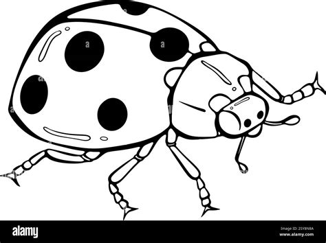 Ladybug Side View Line Art Stock Vector Image And Art Alamy
