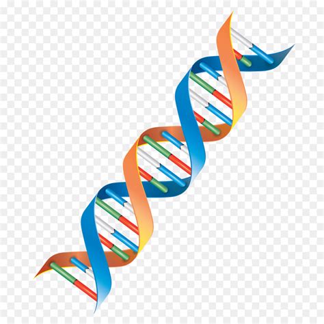 Free Dna Cliparts Download Free Dna Cliparts Png Images Free Cliparts