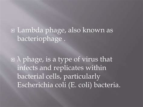 Lambda Phage Reproduction Ppt