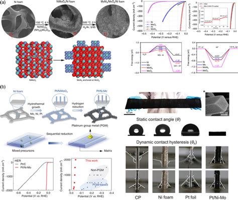 A Schematic Of Synthetic Process Her Performance And Dft Calculation Download Scientific