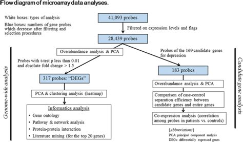 Flow Diagram Of Microarray Data Analyses The Left Arm Of This Figure
