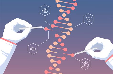 From CRISPR To Prime Editor The Evolution Of Gene Editing Abilities