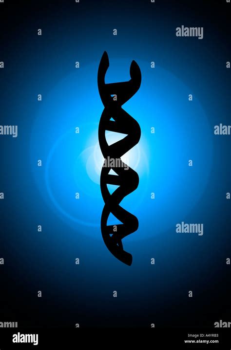 Alpha Helix Fotos Und Bildmaterial In Hoher Auflösung Alamy