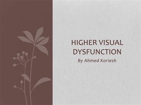 Higher Visual Dysfunction Pptx