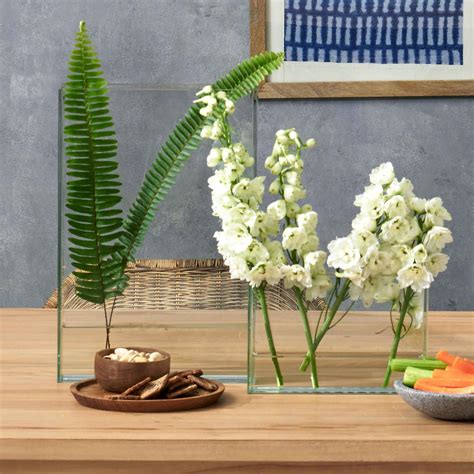 Design Ideas Vision Large Rectangle Vase Set Of 4 Zola