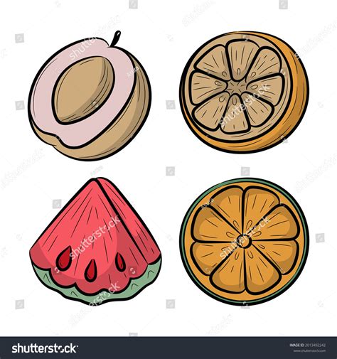 Slice Fruits Vector Illustration Colored Hand Stock Vector Royalty
