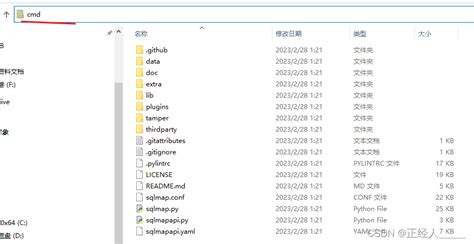 p79 python 开发 sqlmapapiandtamperandpocsuite（含安全狗的安装与开启网站防护） windows下使用