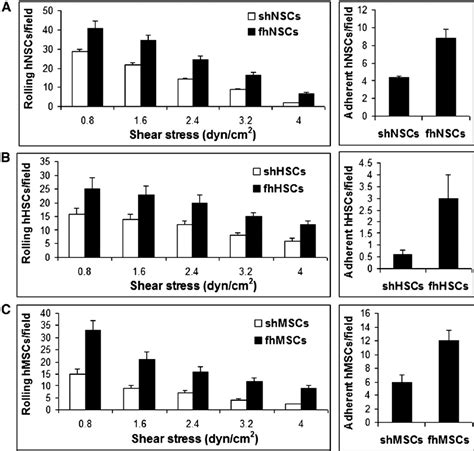 Effect Of Fucosylation On Human Stem Cell Interactions With An