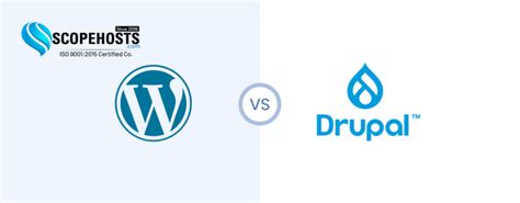 Drupal Vs Wordpress Key Differences And Comparison Guide