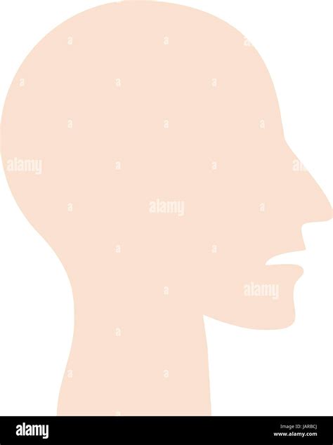 Head Vector