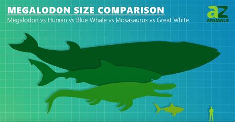 Spinosaurus Vs Mosasaurus Who Would Win In A Fight A Z Animals