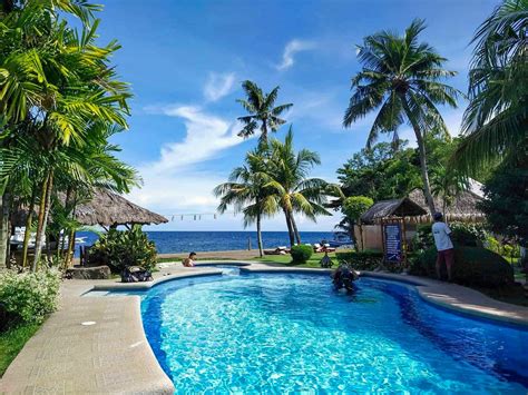 Sea Explorers Philippines Dauin All You Need To Know Before You Go