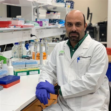 Ali Daneshmand University Of New England Au Australia Linkedin