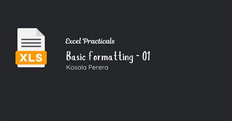 Excel Basic Formatting Practical 1