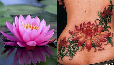 Egyptian Lotus Flower Tattoo Designs Best Flower Site