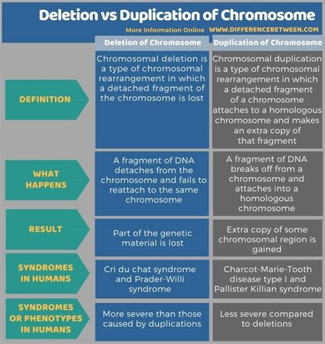 Duplication Vs Replication At Janet Cantrell Blog