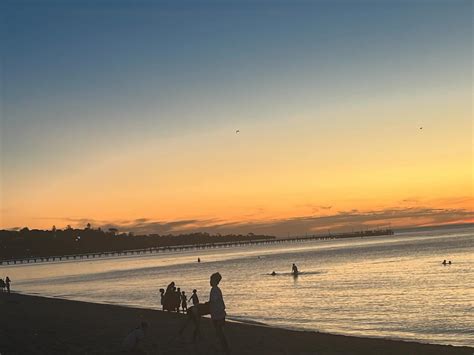 Erin Walker 🥰🐱 Instagram