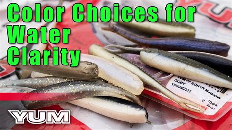 How Jason Christie Chooses The Best Yum Ff Sonar Minnow Colors For