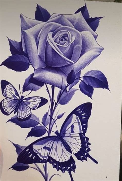 Beautiful Rose Drawing With Butterflies