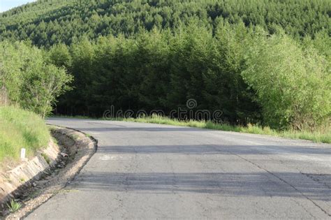 The Sparse Forest On The Zhangbei Grassland Is A Beautiful Natural