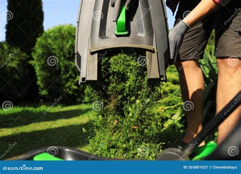 Man Removing Grass Out Of Lawn Mower Box In Garden Closeup Stock Image