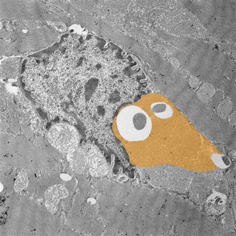 Imces Calendarlife Beyond Vision