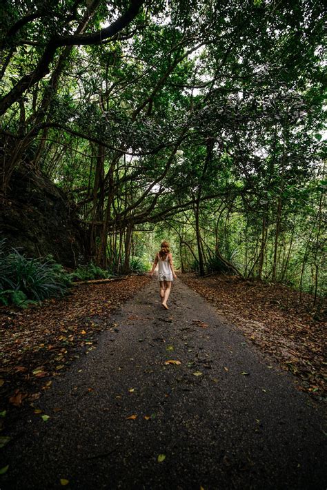 Active Adventures And Wellness — Christmas Island
