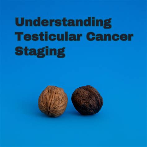 Testicularcancer Cancerawareness Stagingexplanation Testicular