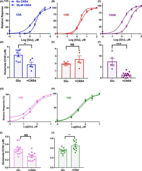 Cns4 Alters Agonist Potency In Nmda Receptor Subtypes Glutamate Download Scientific Diagram