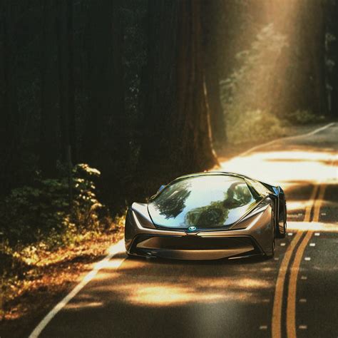 Maya Arnold On Behance