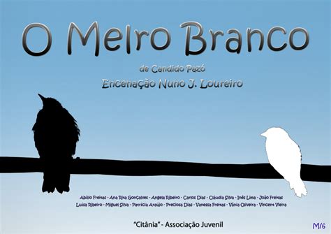 Pedra Formosa O Melro Branco No Museu Da Cultura Castreja