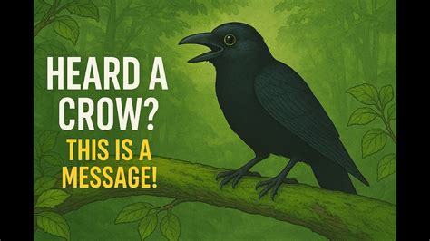 Decoding Crow Caw Meaning 7 Spiritual Signs You Cant Ignore