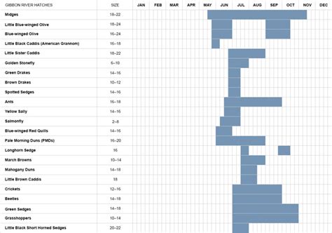 Gibbon River Fly Hatch Chart Gibbon River Fly Hatch Chart