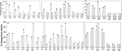 Regulation Of Signaling By Pazopanib Entinostat In Human Sarcoma Download Scientific