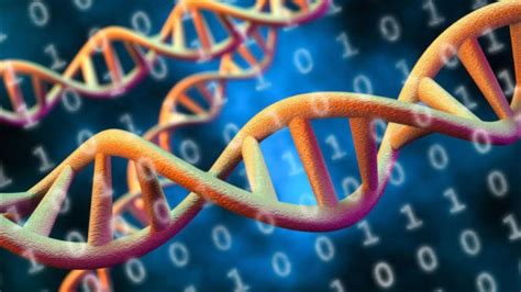 جينات Dna نقاش تاريخي جيني Youtube