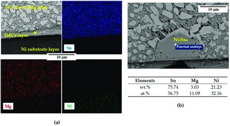 A Sem Image With Eds Elemental Map Analysis For The Sn 21wtmgni Download Scientific