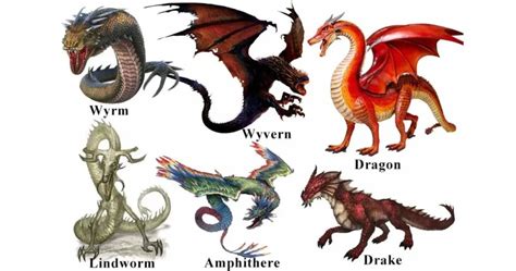 Dragons Drakes Wyrms And Wyverns What Are The Differences